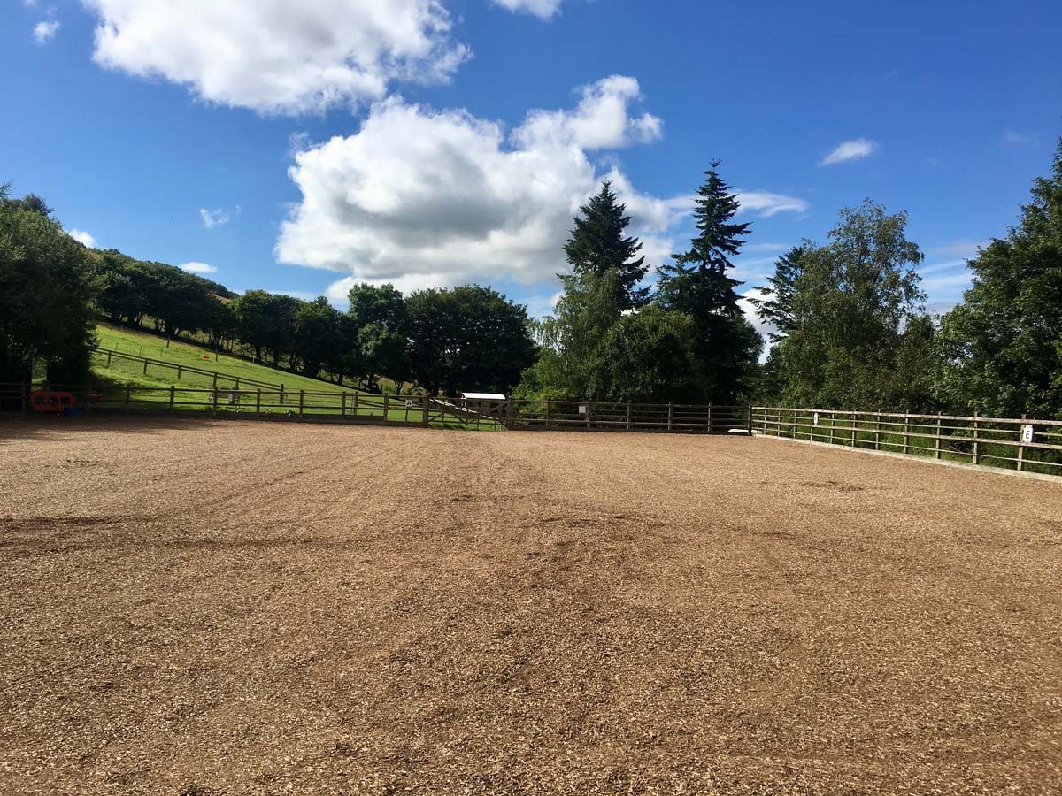 Stay With Your Horse – Brandy House Farm