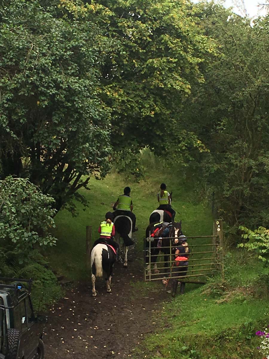 Stay With Your Horse – Brandy House Farm