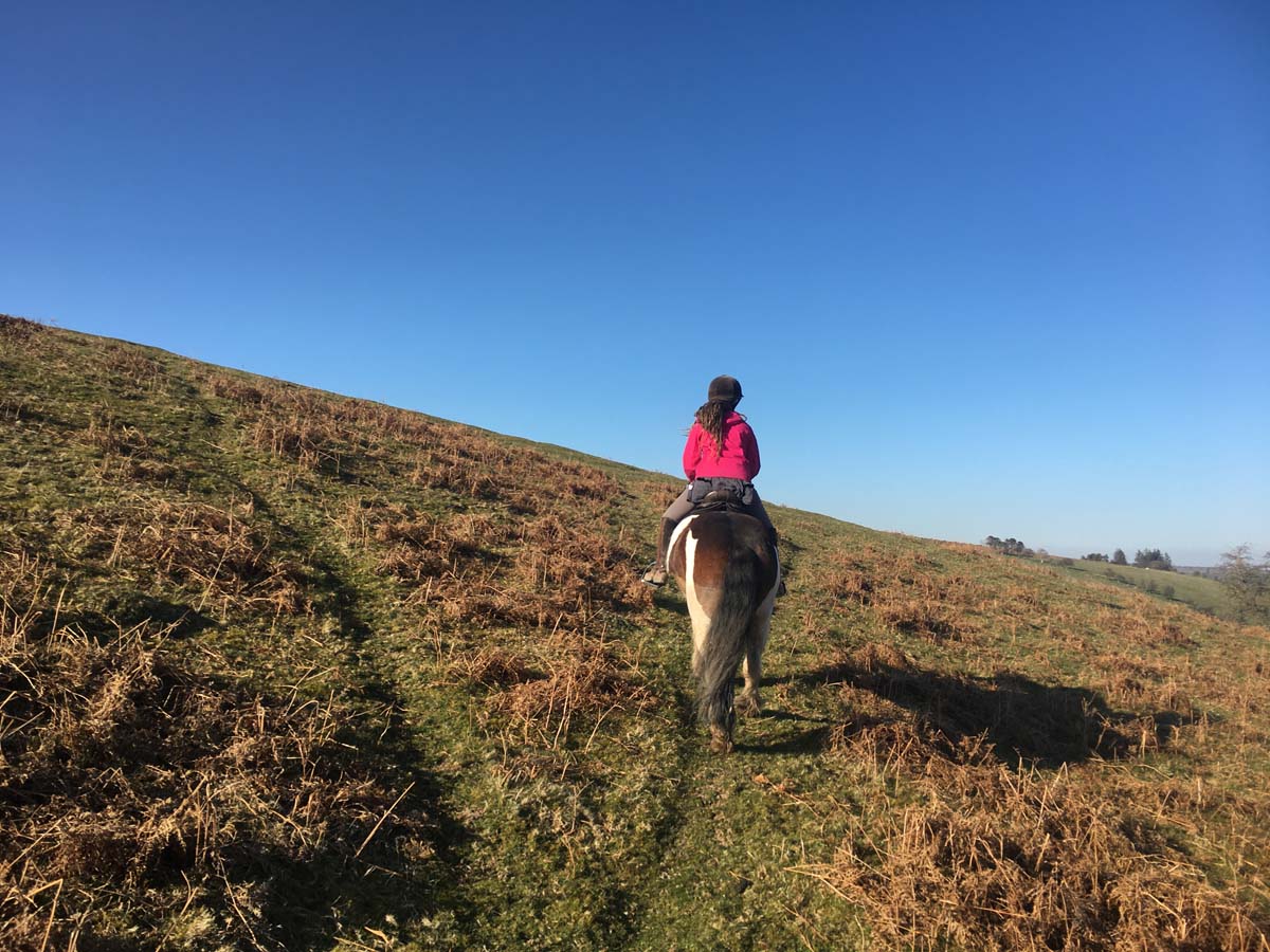 Stay With Your Horse – Brandy House Farm
