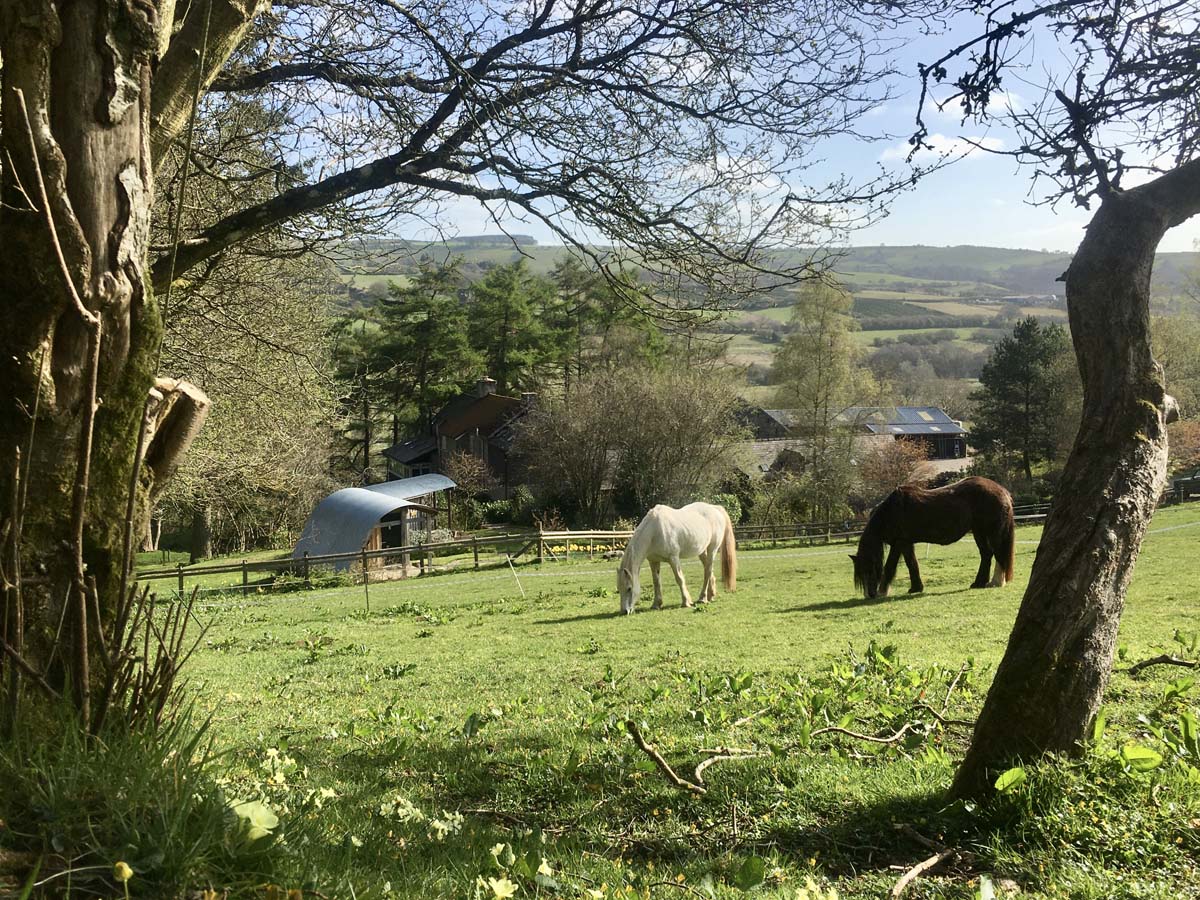 Stay With Your Horse – Brandy House Farm