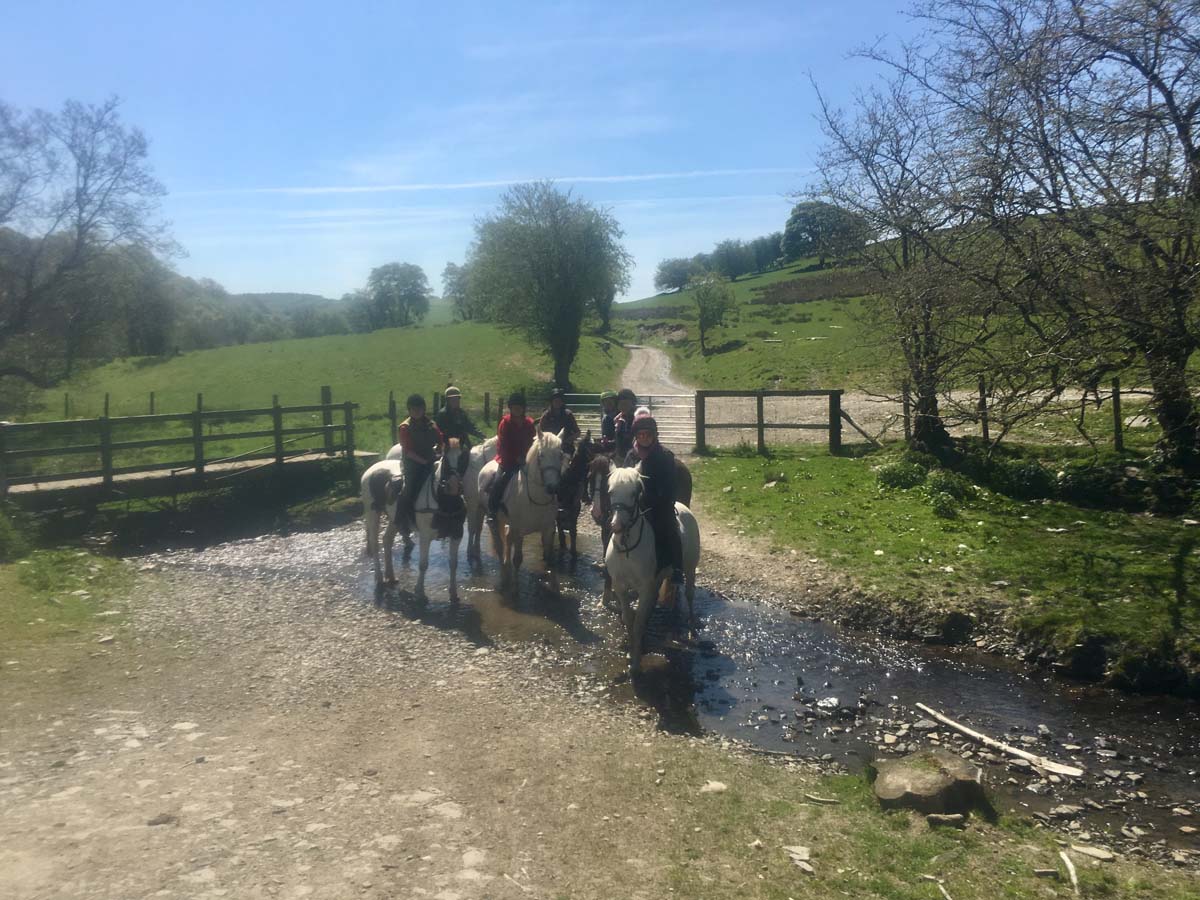 Stay With Your Horse – Brandy House Farm
